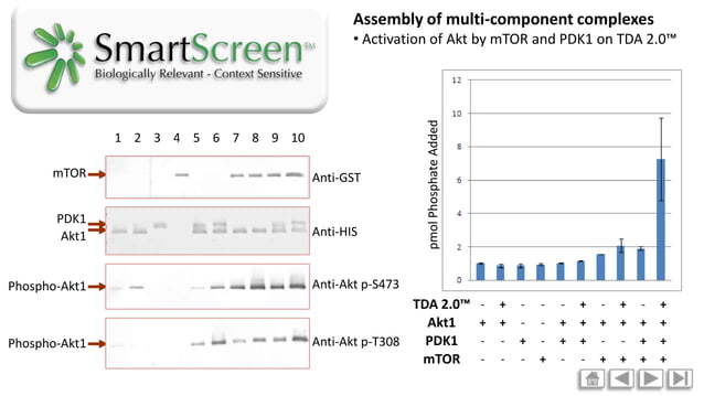 Smart screen animations_Blue Sky Biotech | PPT