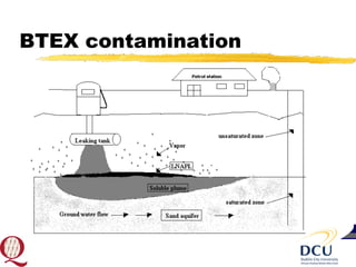 Smart sensors for BTEX | PDF
