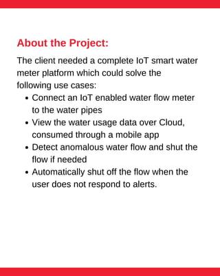 Smart Water Meter Powered by Internet of Things [Client Case Study] | PDF | Technology Industry ...