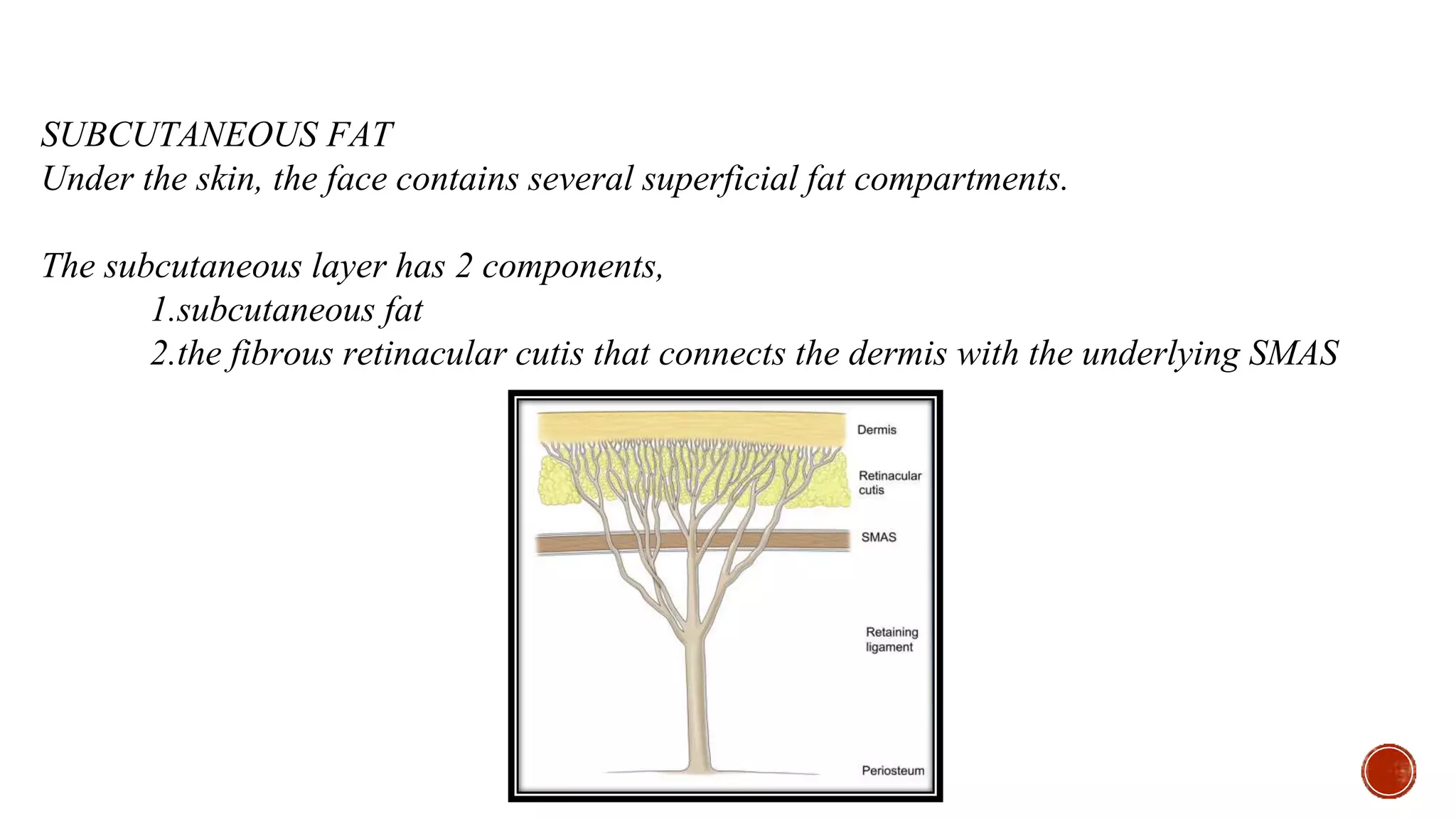 Superficial Musculo Aponeurotic System(SMAS) | PPTX