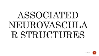 Superficial Musculo Aponeurotic System(SMAS) | PPTX