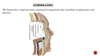 Superficial Musculo Aponeurotic System(SMAS) | PPTX