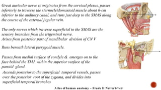 Superficial Musculo Aponeurotic System(SMAS) | PPTX