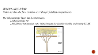 Superficial Musculo Aponeurotic System(SMAS) | PPTX