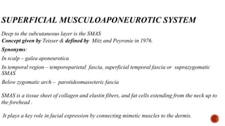 Superficial Musculo Aponeurotic System(SMAS) | PPTX