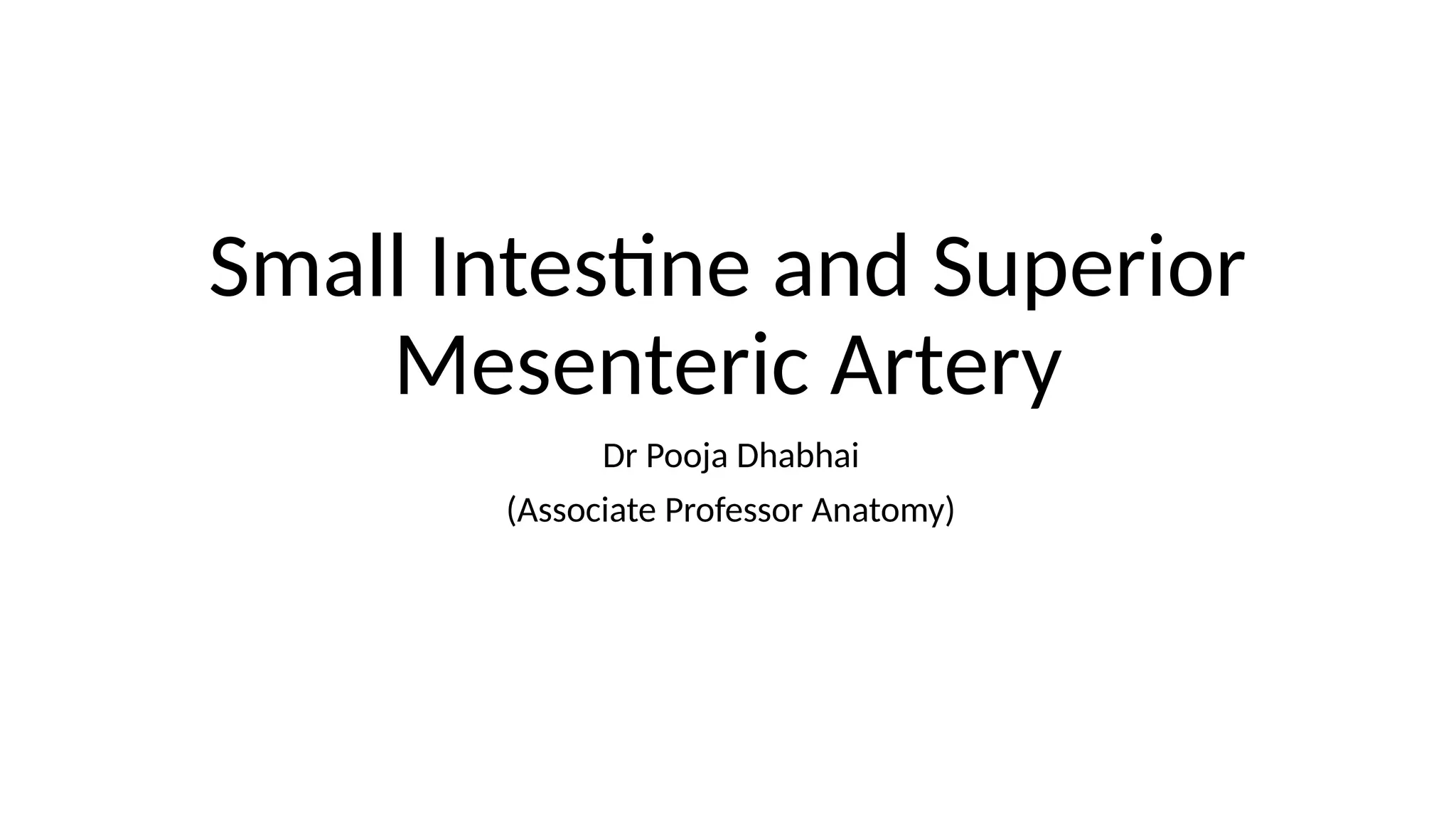 Small intestine and superior mesenteric artery | PPTX