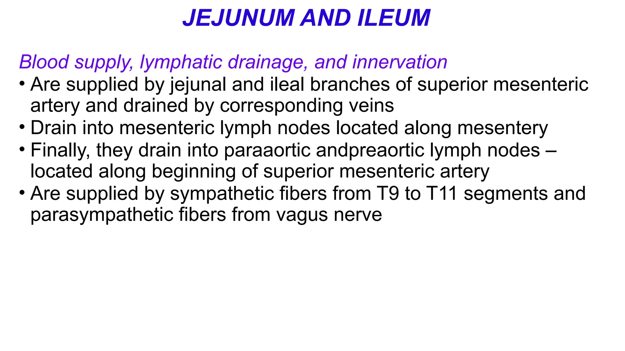 Small intestine and superior mesenteric artery | PPTX
