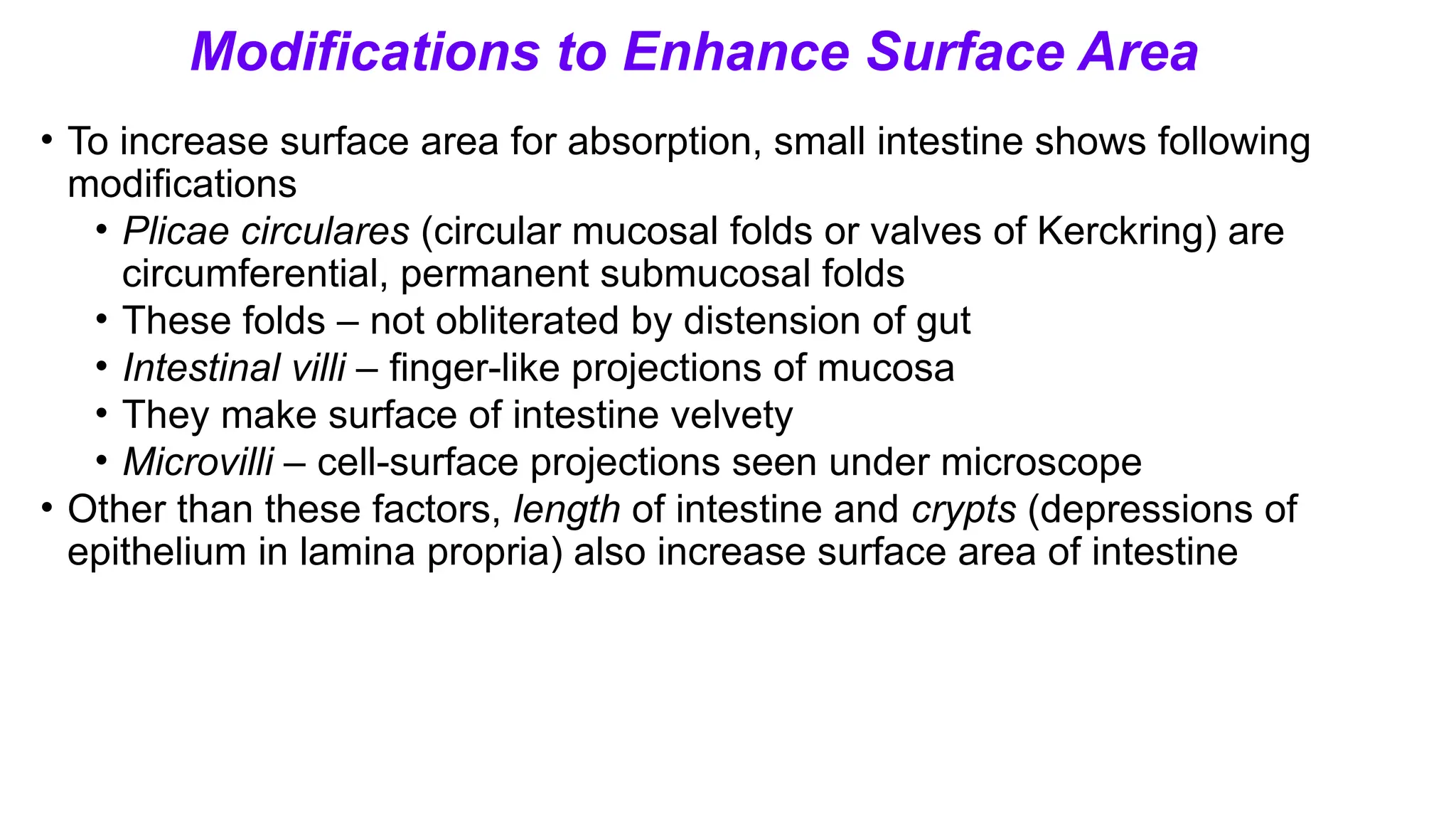 Small intestine and superior mesenteric artery | PPTX