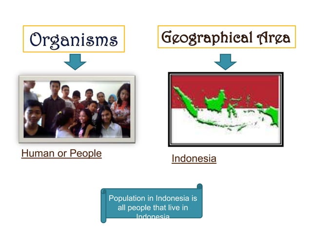 Overpopulation in Indonesia | PPTX | Science