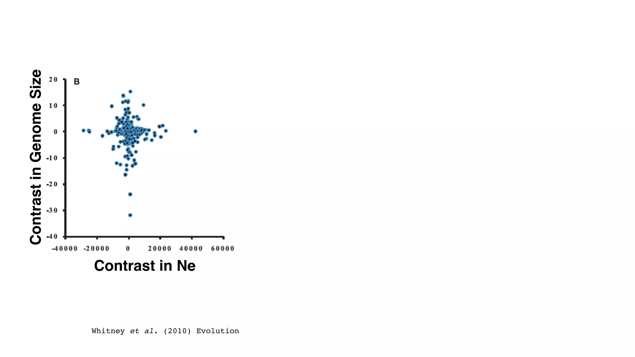 Adaptive evolution of genome size across altitudinal clines in maize | PPT