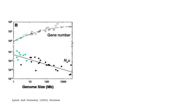 Adaptive evolution of genome size across altitudinal clines in maize | PPT