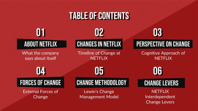 Case Study - NETFLIX | PDF | Business | Business and Finance
