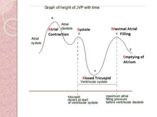Arterial and venous pulse | PPTX