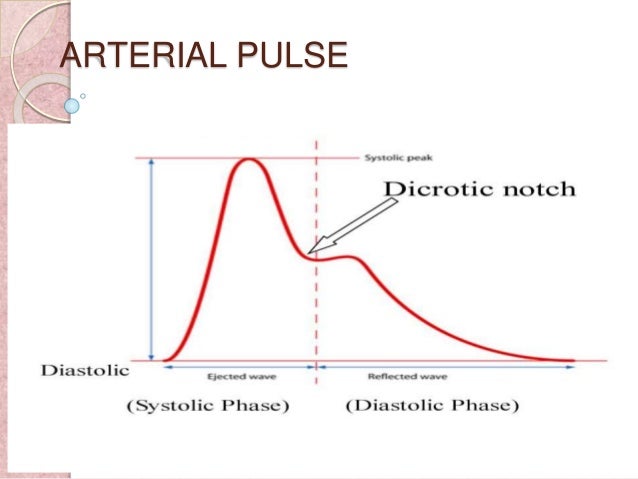 Arterial and venous pulse
