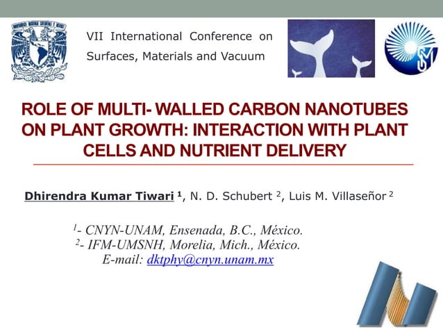 MWCNT Interaction with Plant Cells for Nutrient Delivery.pptx