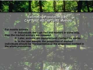 population ecology | PDF