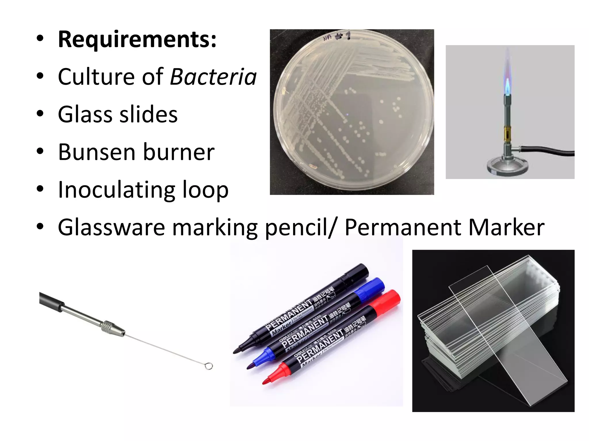 Bacterial Smear preparation | PDF