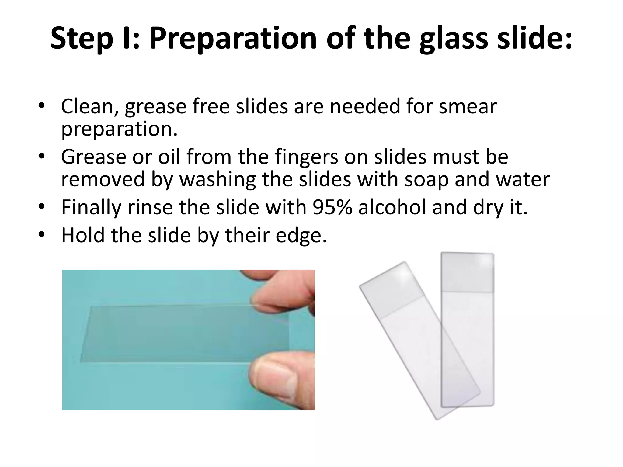 Bacterial Smear preparation | PDF