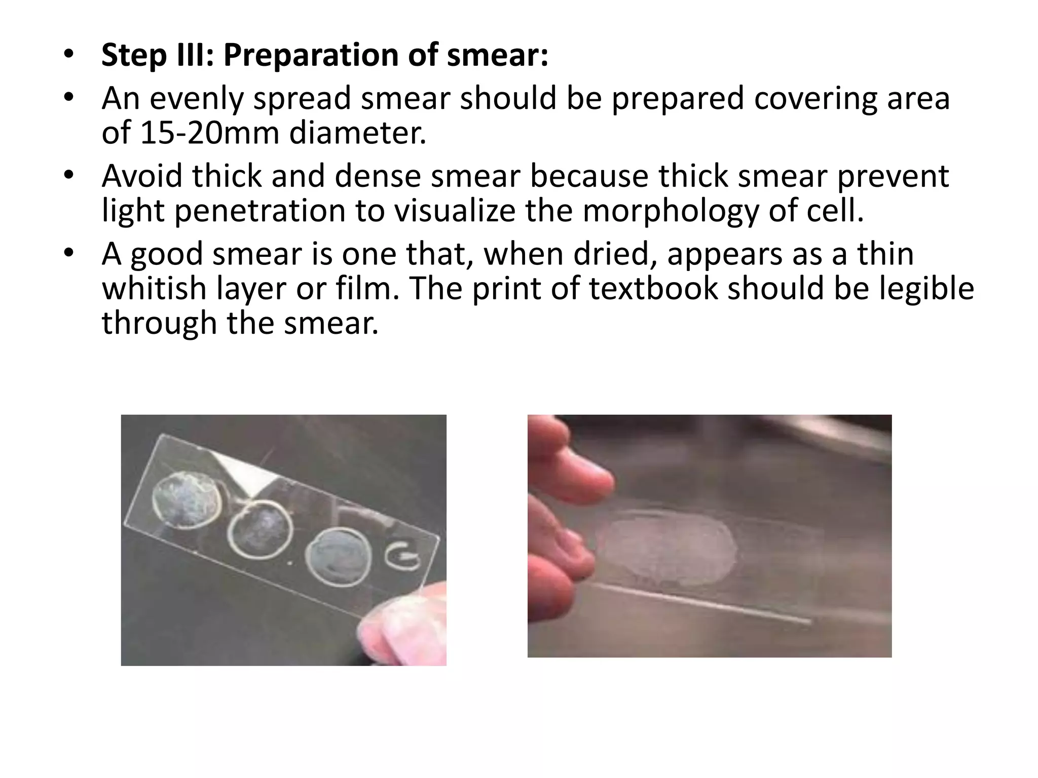 Bacterial Smear preparation | PDF