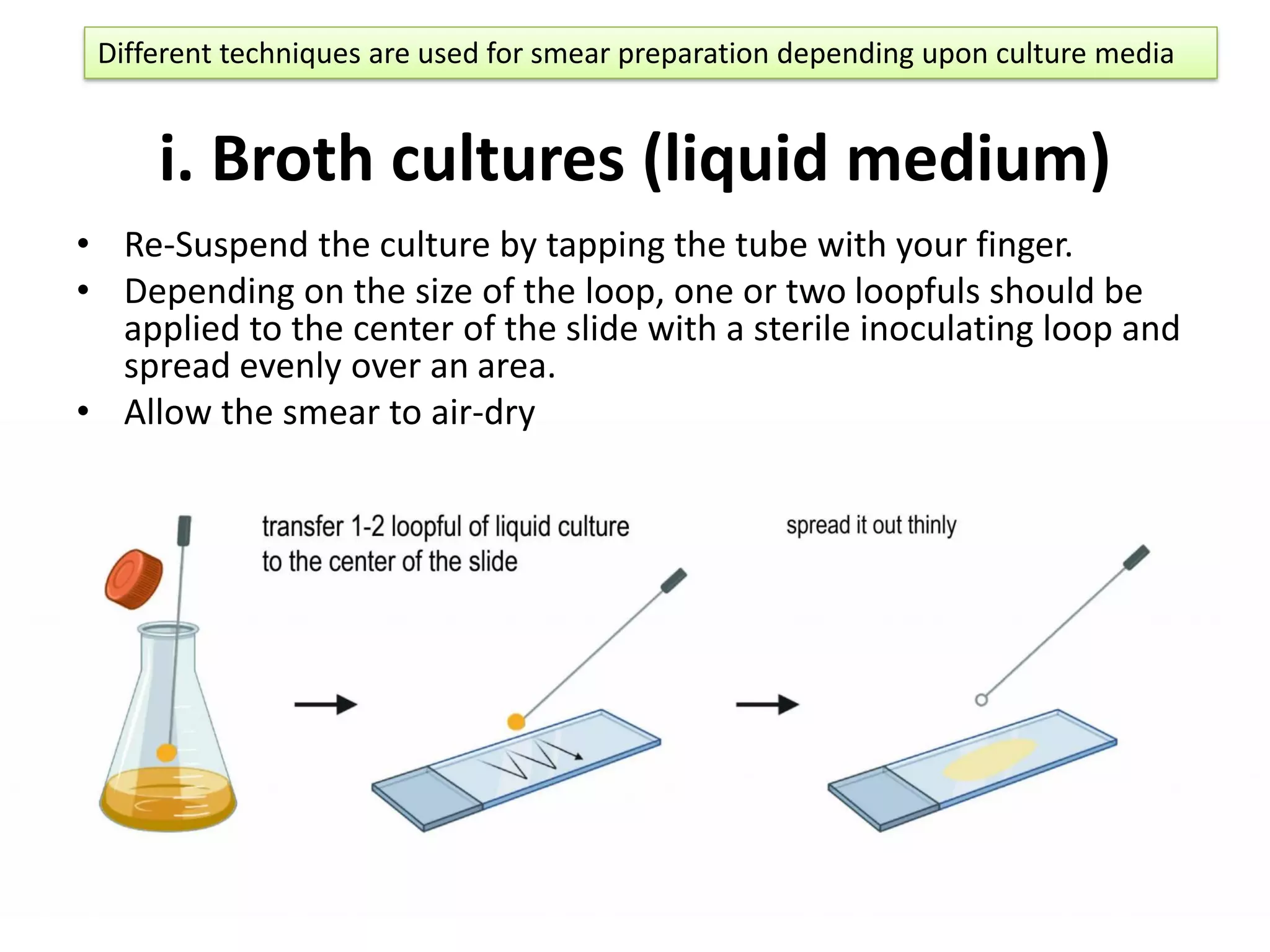Bacterial Smear preparation | PDF