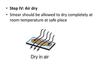 Bacterial Smear preparation | PDF