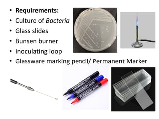 Bacterial Smear preparation | PDF