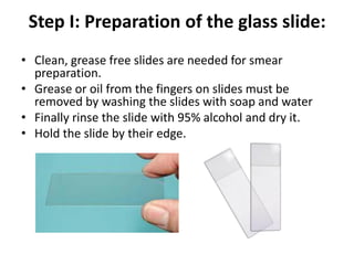 Bacterial Smear preparation | PDF