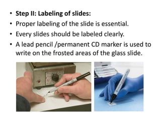 Bacterial Smear preparation | PDF