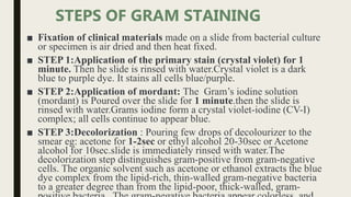 smear prep & Gram staining-new.pptx