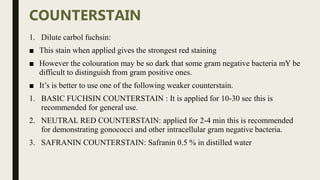 smear prep & Gram staining-new.pptx