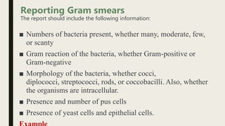 smear prep & Gram staining-new.pptx