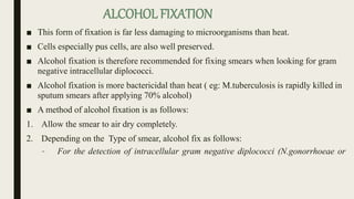 smear prep & Gram staining-new.pptx