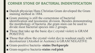 smear prep & Gram staining-new.pptx