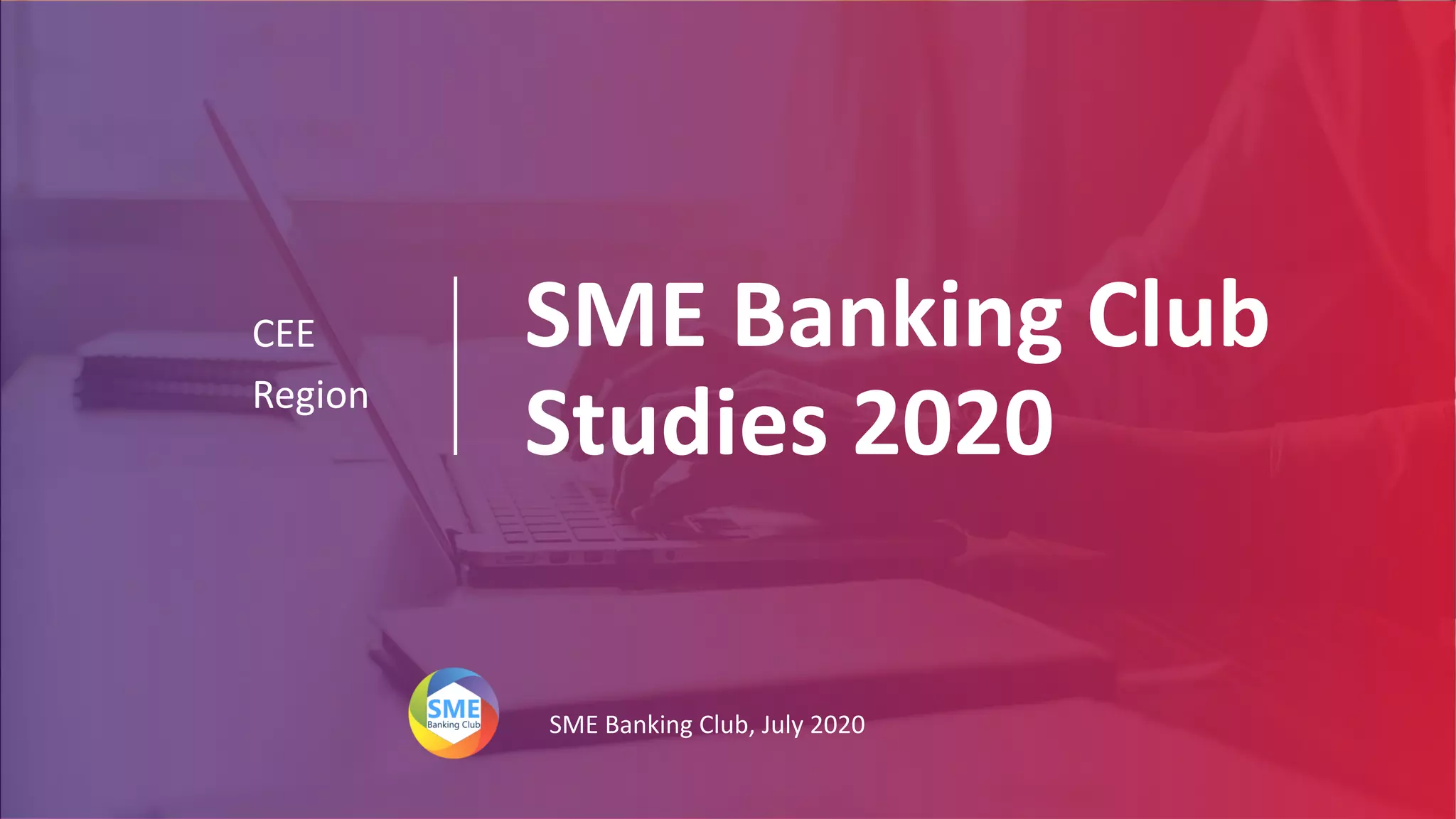 SME Banking Club Studies 2020. CEE Region | PDF