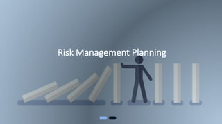 SME Consulting - Risk Management Planning | PDF