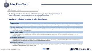 SME Consulting - Sales Plan | PDF