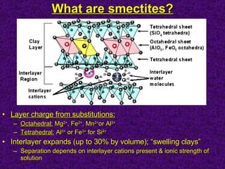 Smectites | PPT
