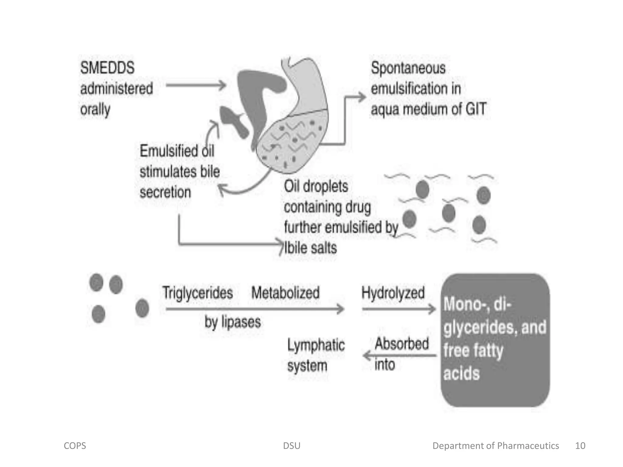 Self Micro Emulsifying Drug Delivery System Pptx