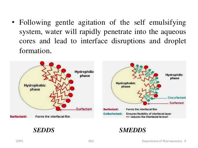 self micro emulsifying drug delivery system