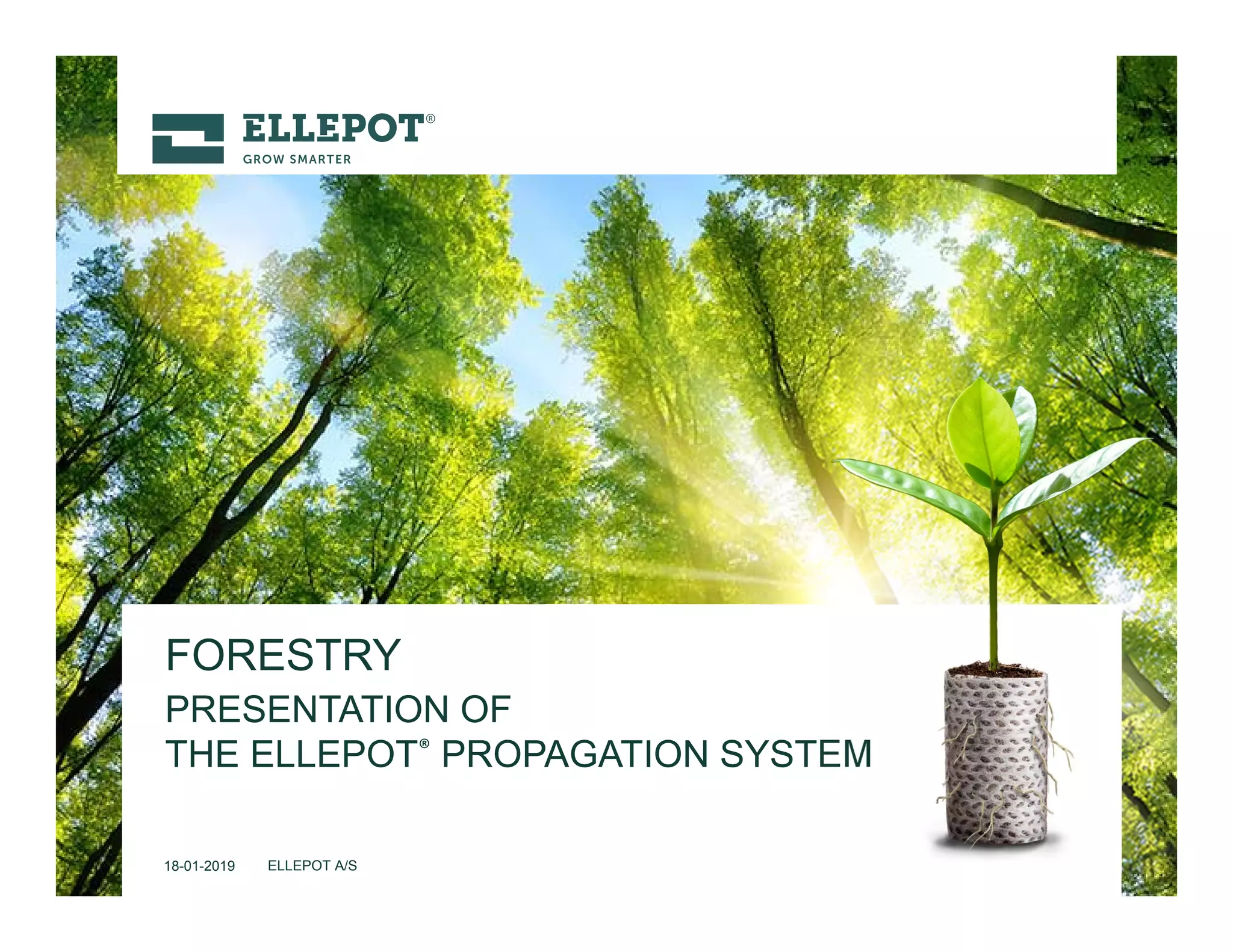 Smedegaard Forestry - Presentation of the Ellepot propagation system | PDF