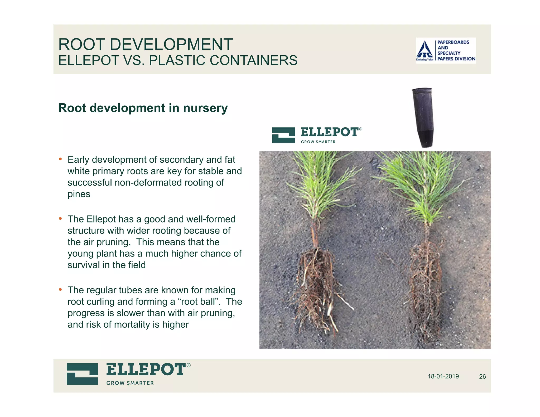 Smedegaard Forestry - Presentation of the Ellepot propagation system | PDF