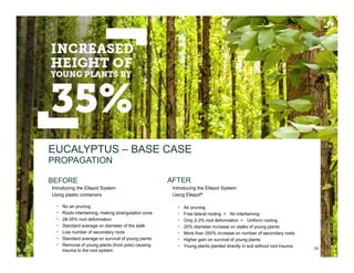 Smedegaard Forestry - Presentation of the Ellepot propagation system | PDF