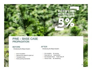 Smedegaard Forestry - Presentation of the Ellepot propagation system | PDF