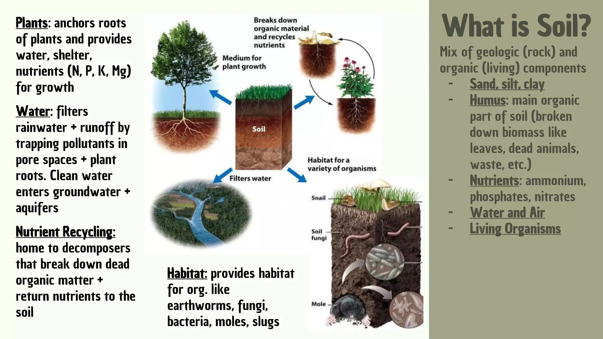 Smedes APES Unit 4 Notes Slides (20-21).pptx