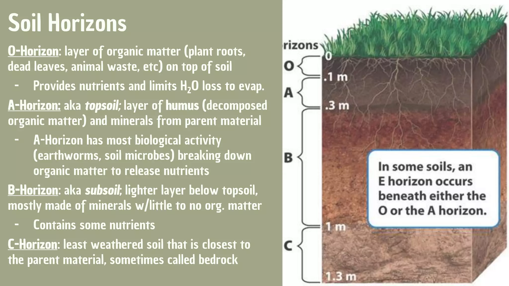 Smedes APES Unit 4 Notes Slides (20-21).pptx