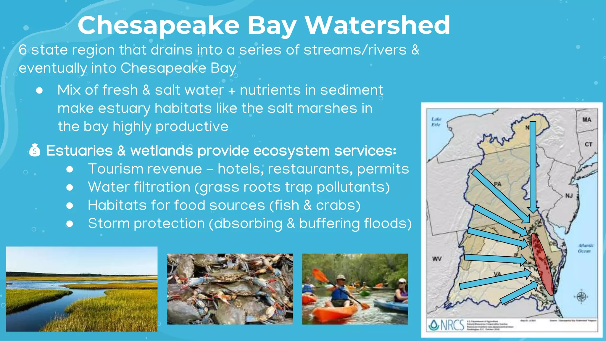 Smedes APES Unit 4 Notes Slides (20-21).pptx