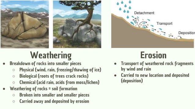 Smedes APES Unit 4 Notes Slides (20-21).pptx | Science