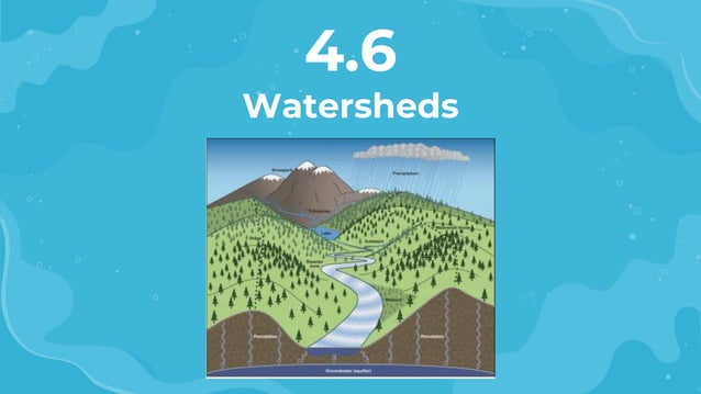 Smedes APES Unit 4 Notes Slides (20-21).pptx | Science