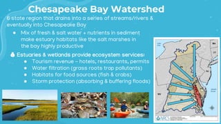 Smedes APES Unit 4 Notes Slides (20-21).pptx