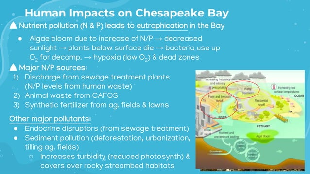 Smedes APES Unit 4 Notes Slides (20-21).pptx | Science